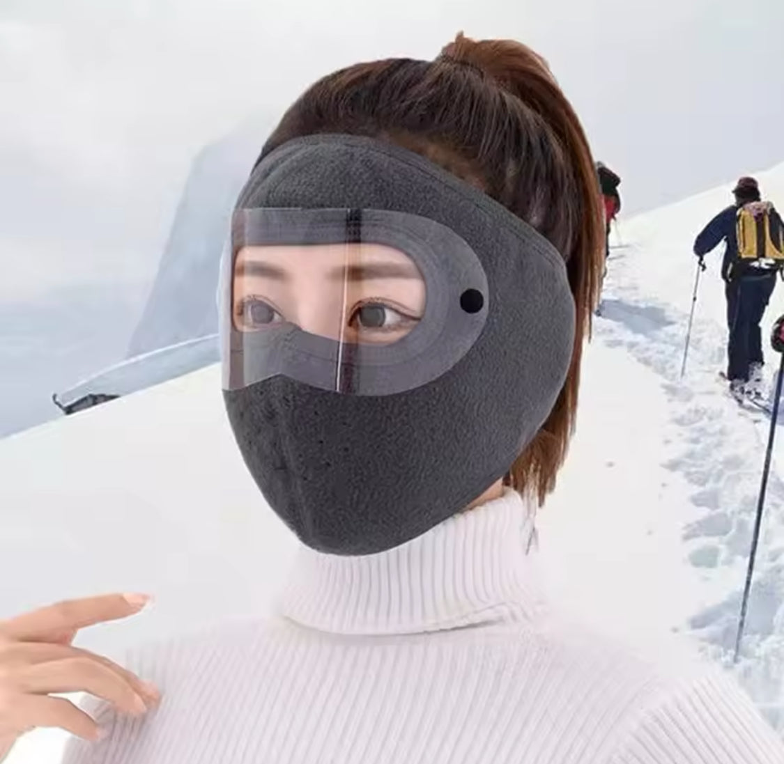 Windproof Anti Dust Full Face Mask, Double Layer Fleece Riding Warm Ma ...